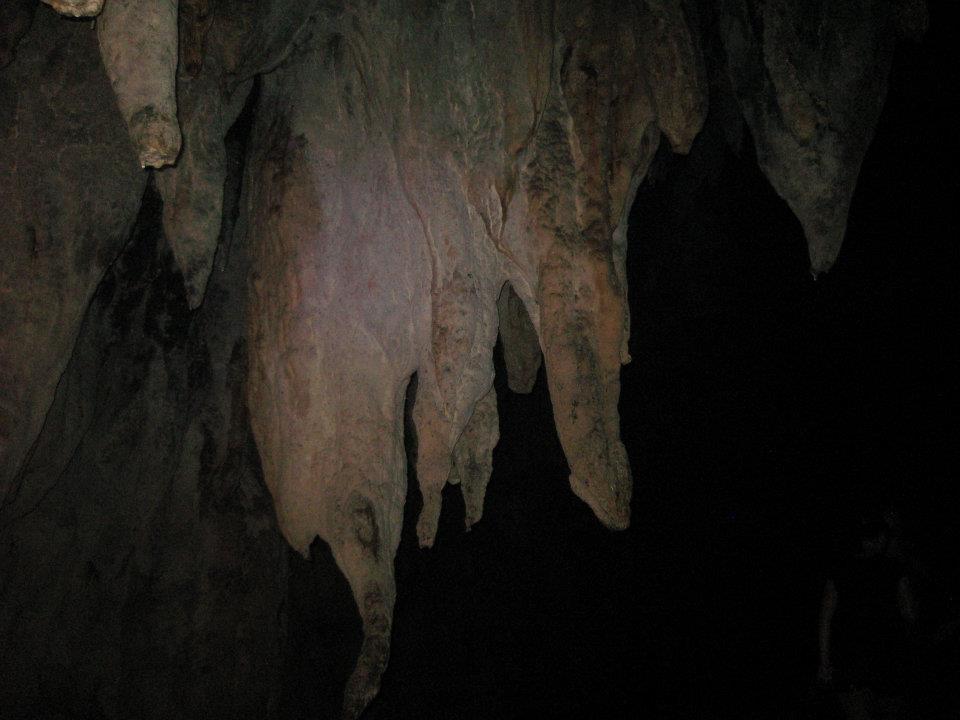 tiny beautifull: busay in moalboal