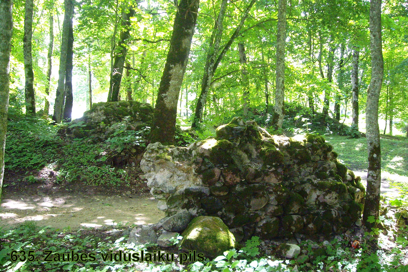 Arheoloģiskie pieminekļi Vidzemē: AMATAS NOVADS