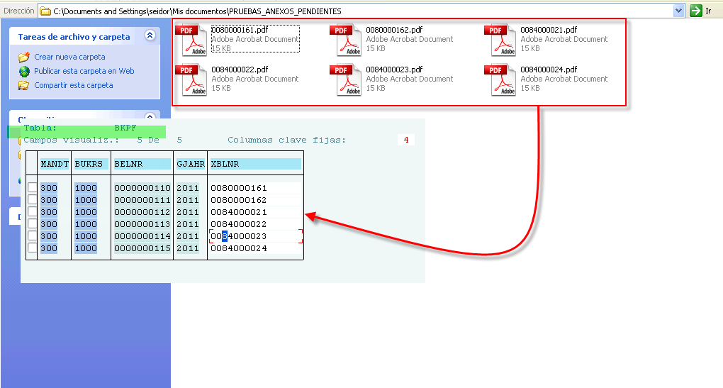 Código de Retorno: Carga Masiva de anexos en SAP