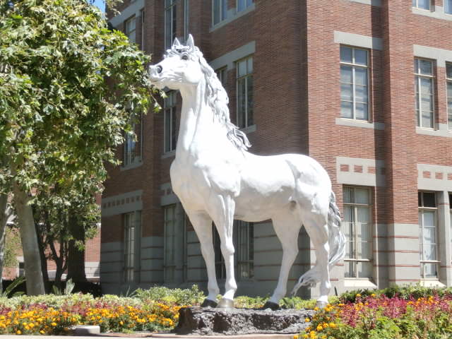 Adventures in Weseland: A Very Small Walk Around USC