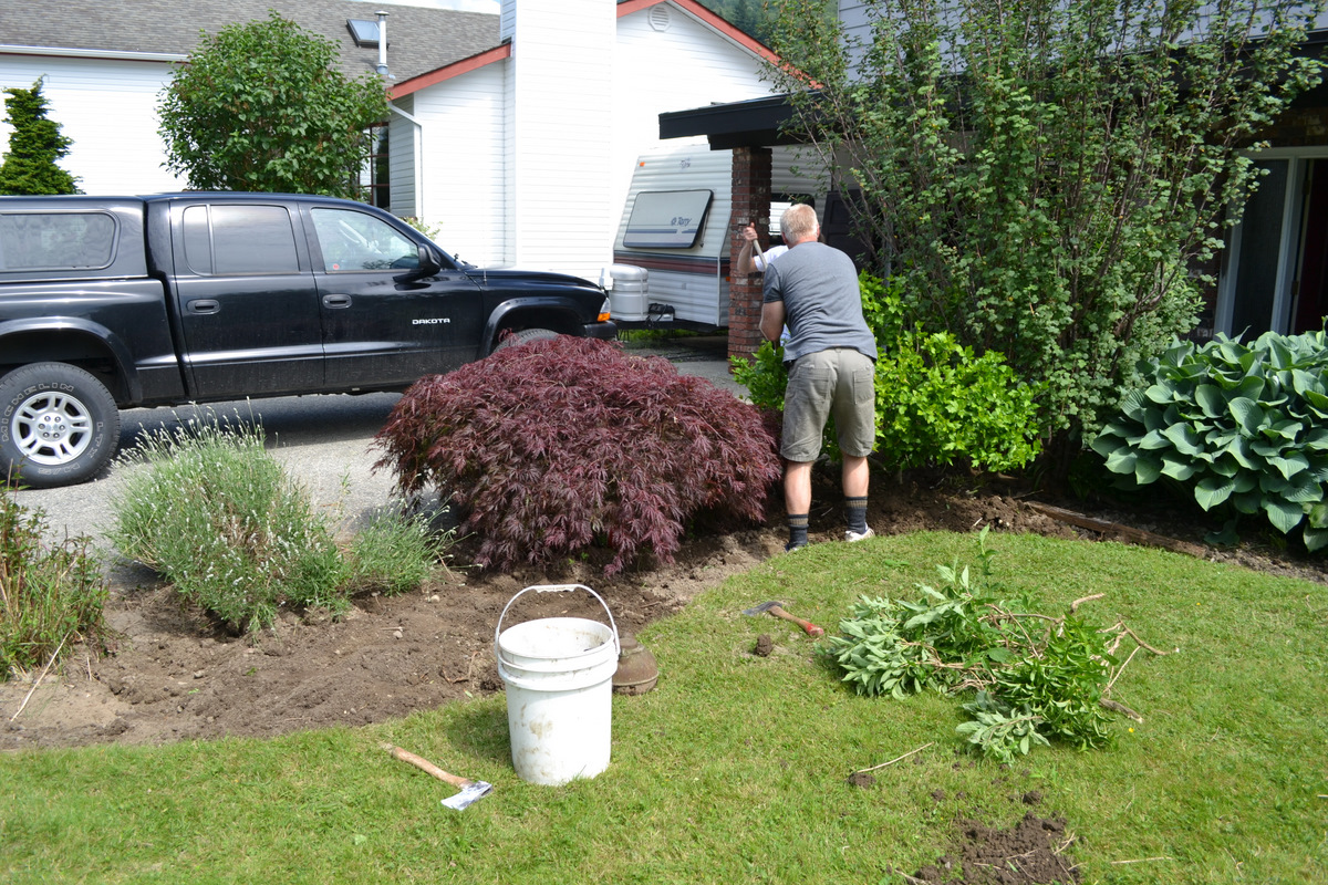 From dirt to a pallet wood walkway in the garden: start to finish!Funky ...