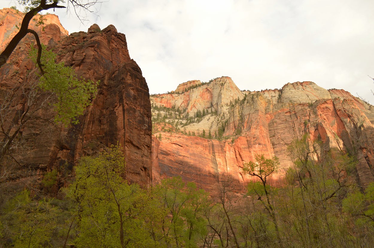 Mis Viajes por el Mundo: Parque Nacional de Zion, Utah