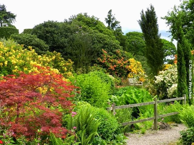 Amazing Arley Hall - an outstanding Cheshire garden