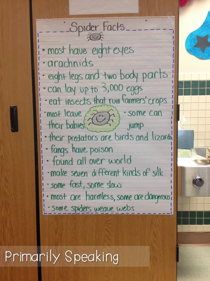 Spider Time!! | Primarily Speaking