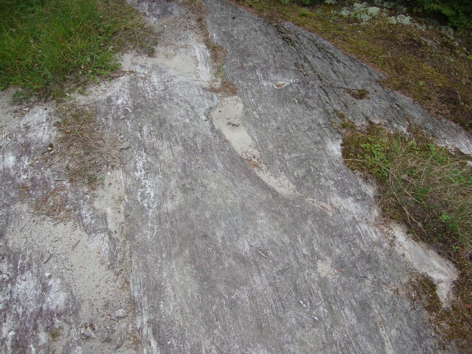 CSMS GEOLOGY POST: ROCHE MOUTONÈE: EVIDENCE OF GLACIAL MOVEMENT