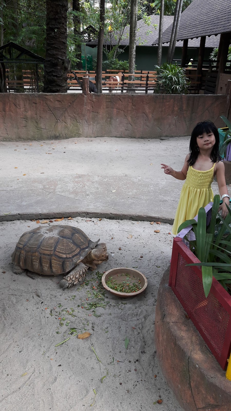 My finding / explorer in KL life