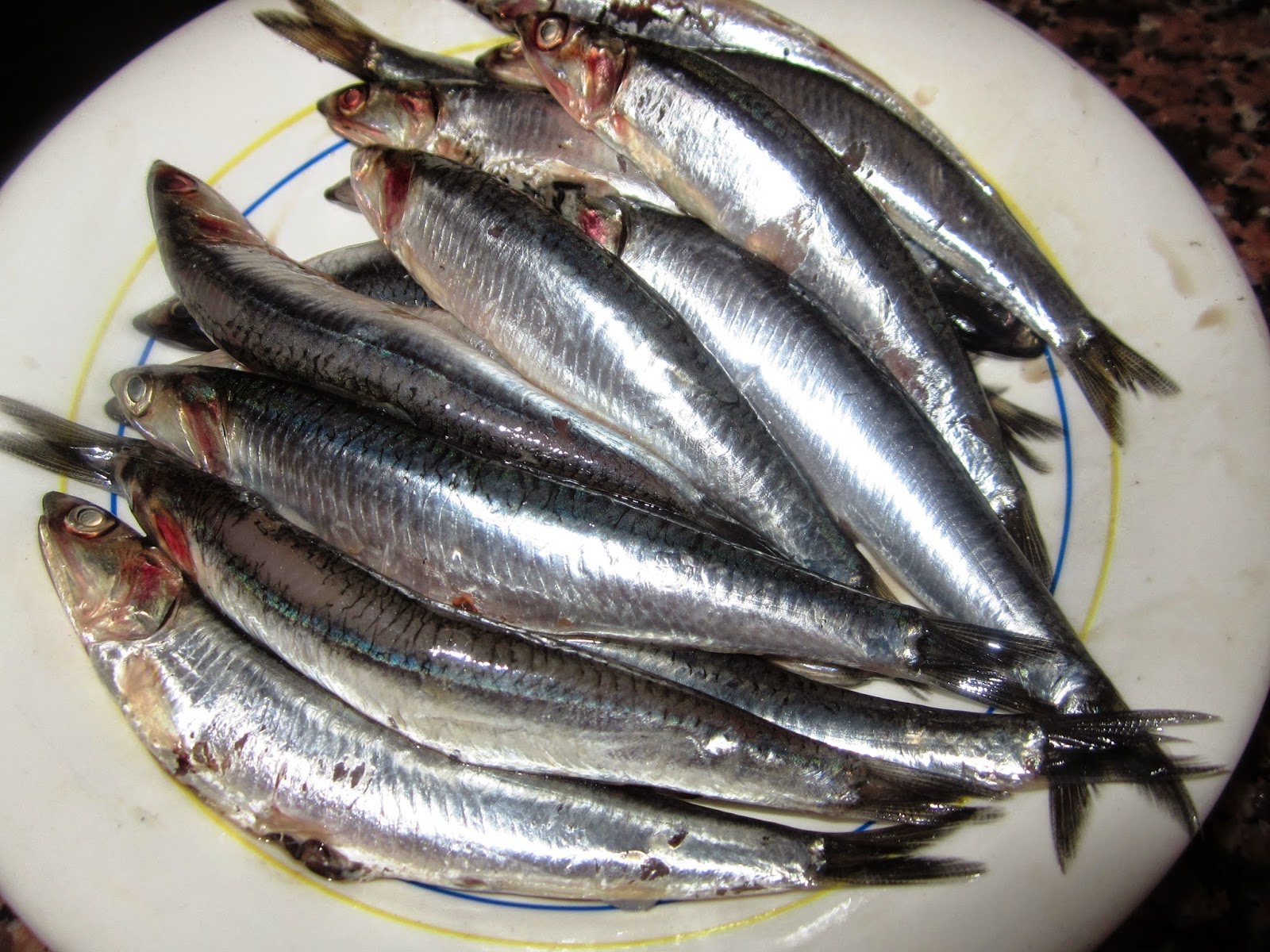 El rincón de Mundín: PESCADOS: EL BOCARTE O BOQUERÓN