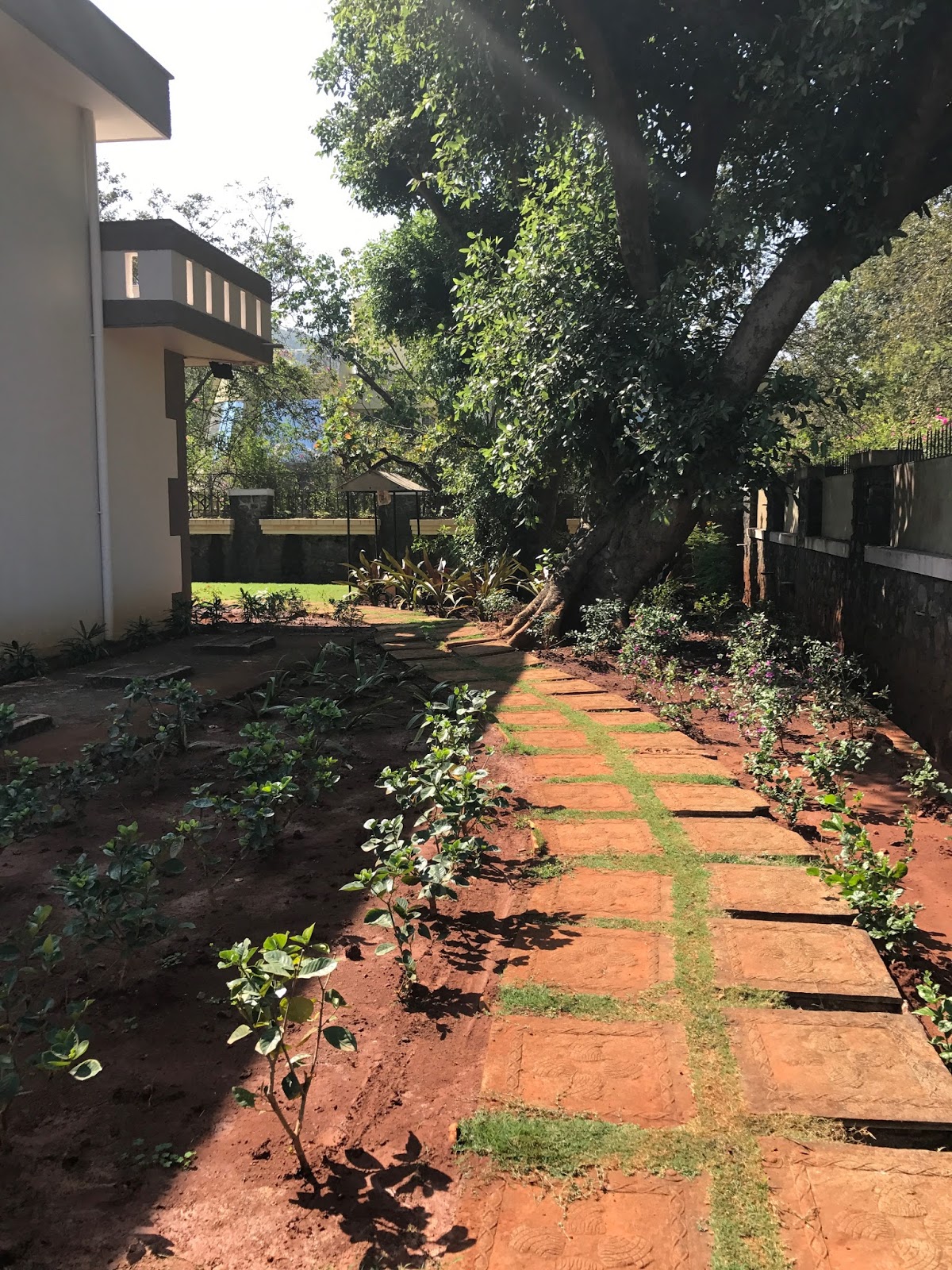 Doshi House at Khandala: Peripheral Landscape and Gardens