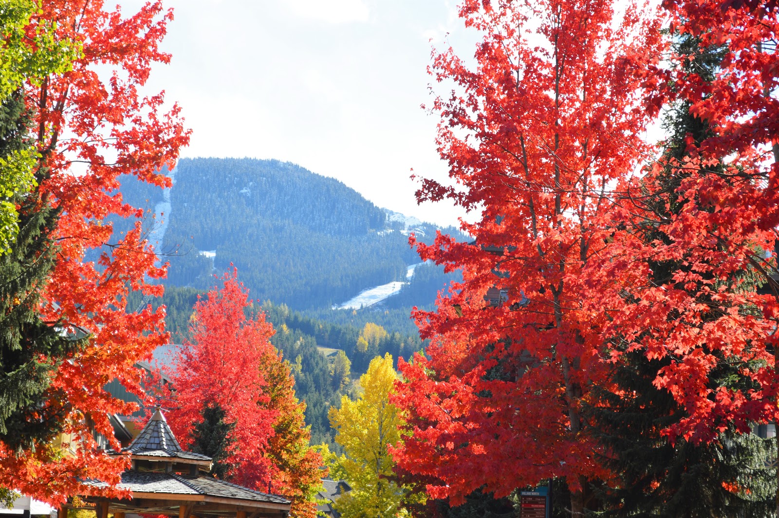 Stunning Photography to Inspire You to Visit Canada: " 2017 Country of ...