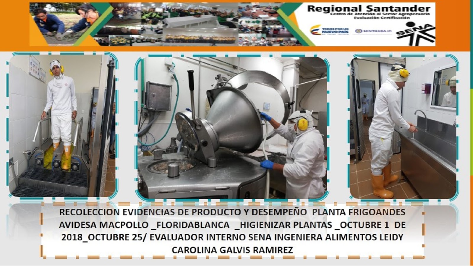 C18: Proceso AVIDESA MACPOLLO PN 4327 Avicola 2018