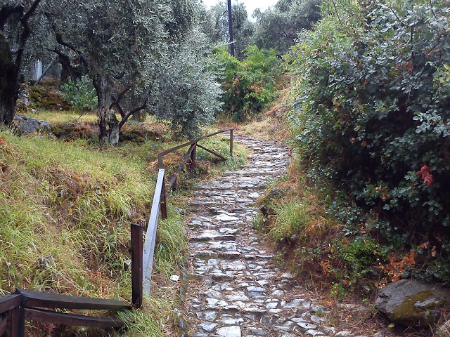 Walking in Pelion: Damouchari-Mouresi