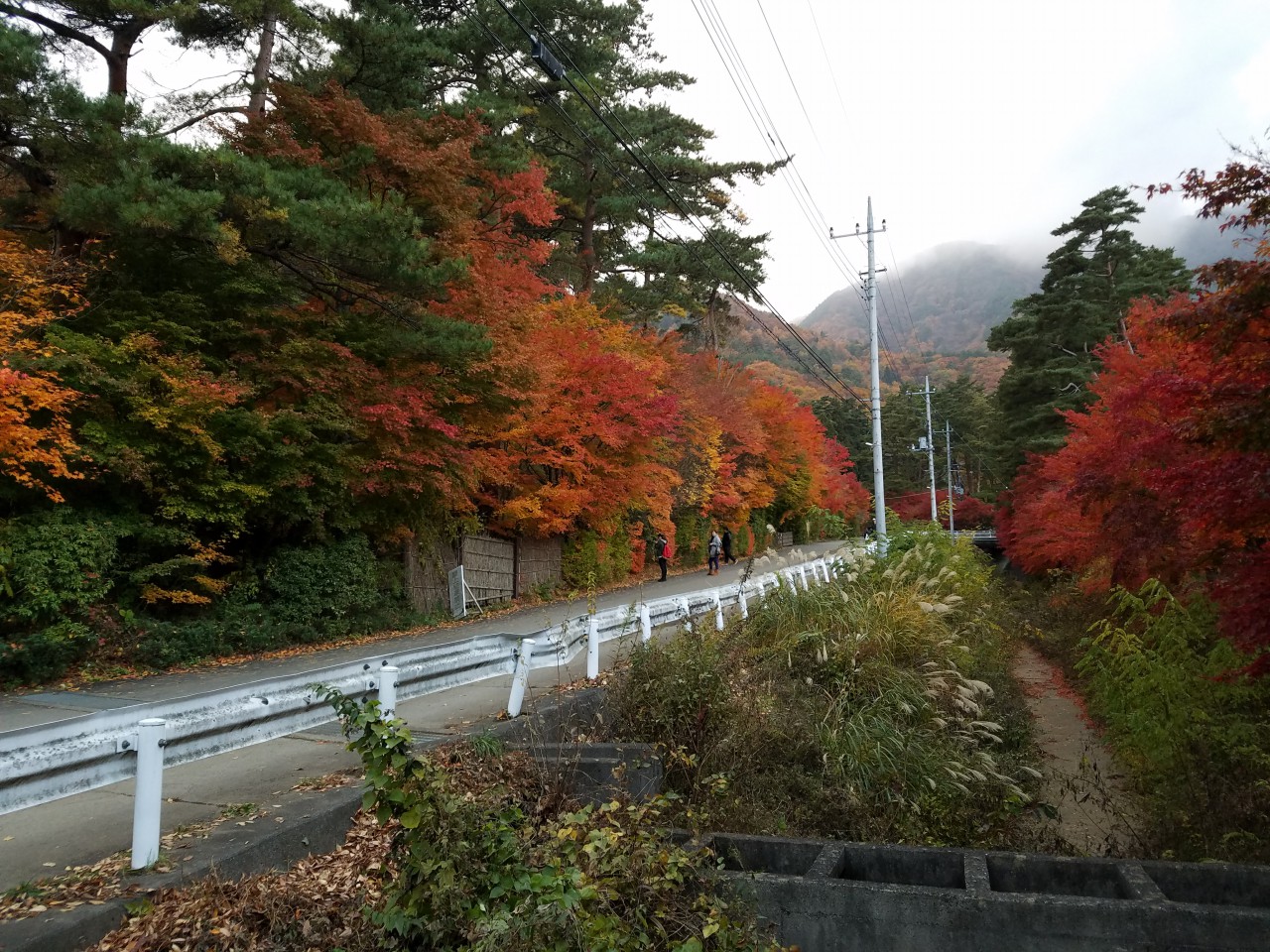 Sekai Ichi: Japan Travel Blog: Kawaguchi-ko Maple Corridor