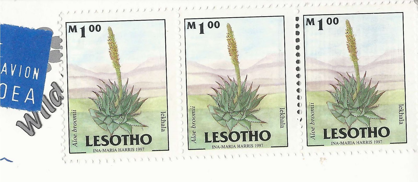 A Journey of Postcards: A Postcard from Lesotho: The Big Five of South ...