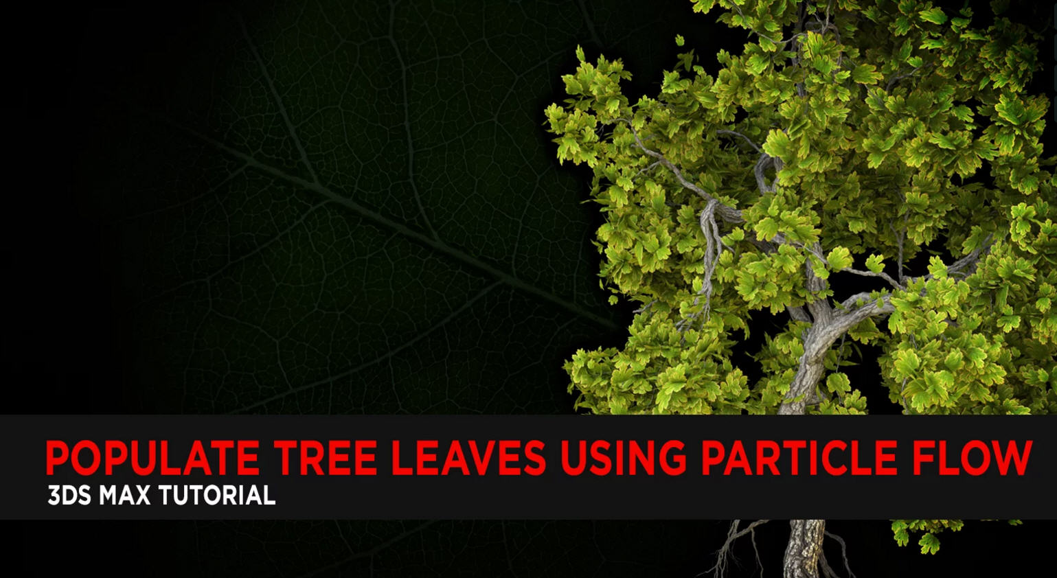 3ds Max Tree Library - baldcirclebits