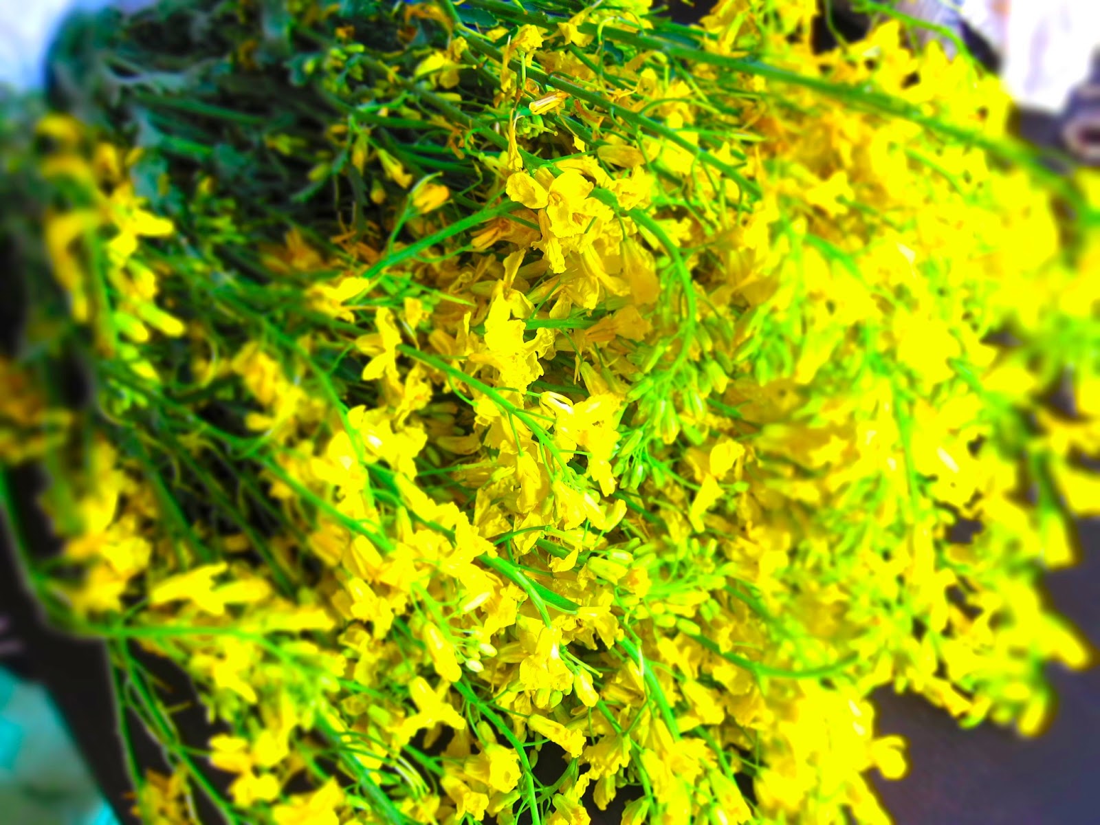 bury your head....in some ostrich!