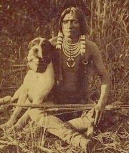 White Wolf : Dogs in the Early Americas: The unbreakable bond with ...
