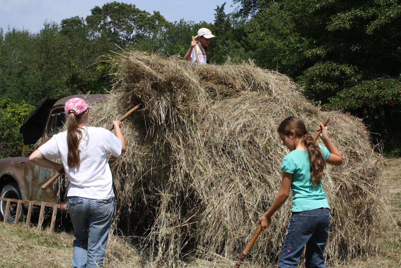 Movin' Like a Herd of Turtles: Making Hay 2012