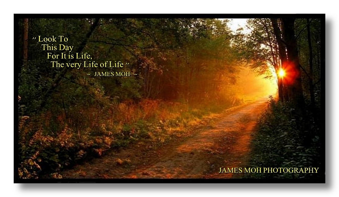 The World Through My Lens: '' Meanings of Life '' ... My Brief View