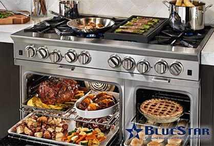 Blue Star Range Repair (908) 662-5330
