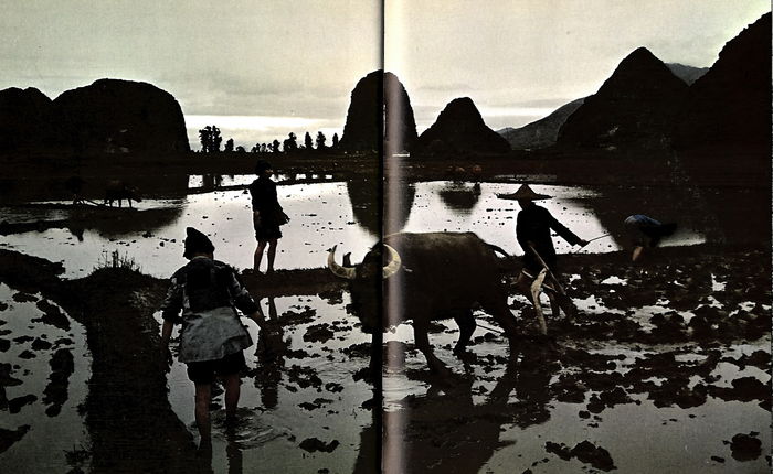 Bint photoBooks on INTernet: Flower Child Marc Riboud Photography