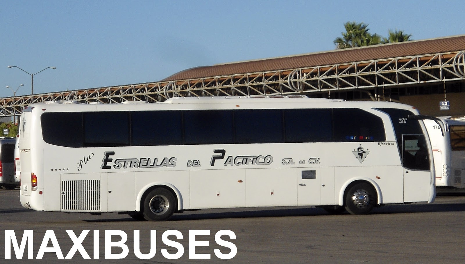 MAXIBUSES: AUTOBUSES ESTRELLAS DEL PACÍFICO