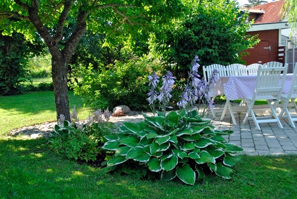 Rosor och ruiner: Trädgårdstips del 2 - rabatterna