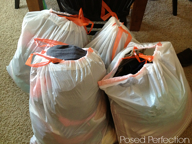 Posed Perfection: What's Been Going On This Week