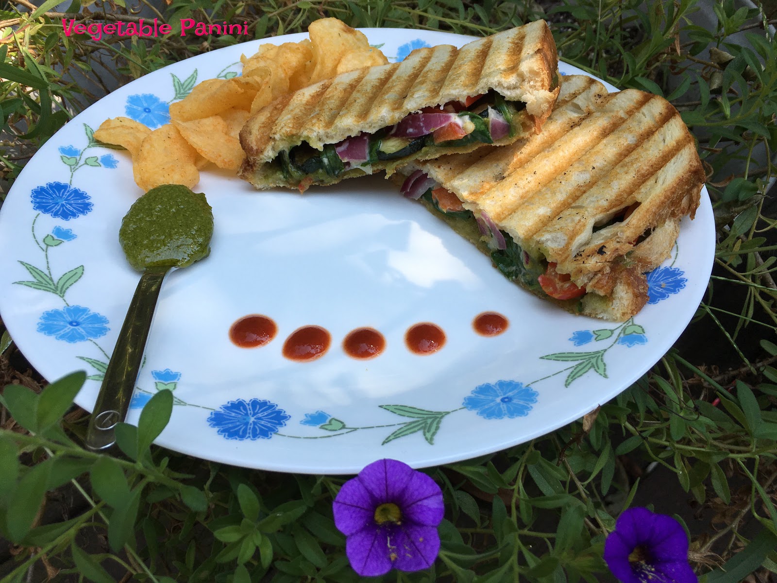 VEGETABLE PANINIS ~ Malpats Kitchen