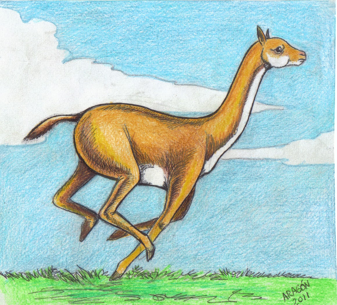 LOS ANIMALES PREHISTORICOS DE CHILE: MACRAUCHENIA , CIERVO ANTIFER ...