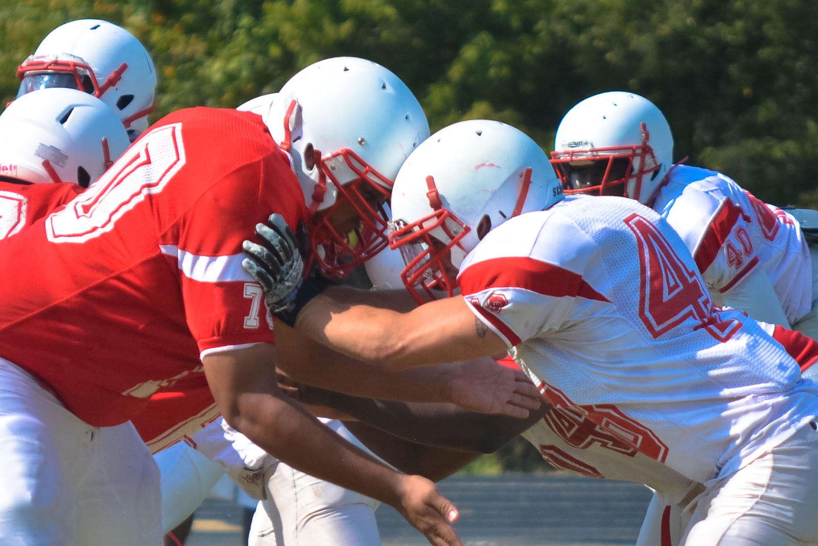 Terrell Daily Photo: 8/1/15 - 9/1/15