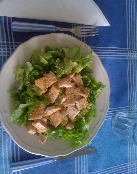 Petto di pollo con salsa di soia - Mammarum