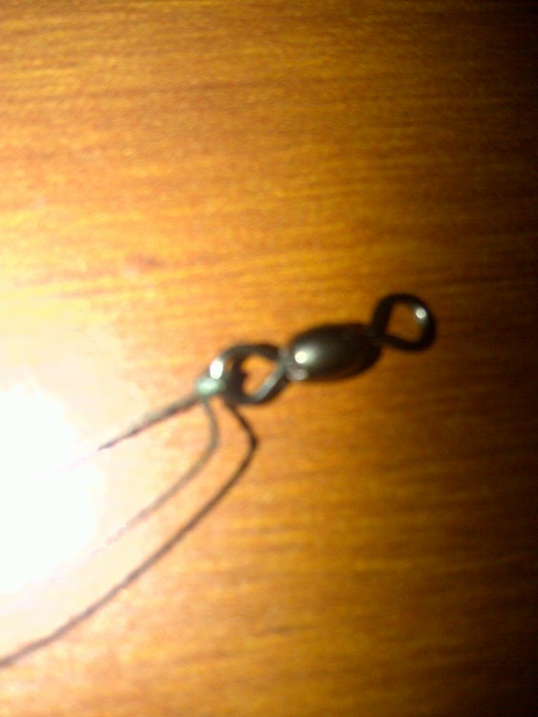 Nick's Fishing Blog: How To: Carp Fishing - Basic Hair Rig