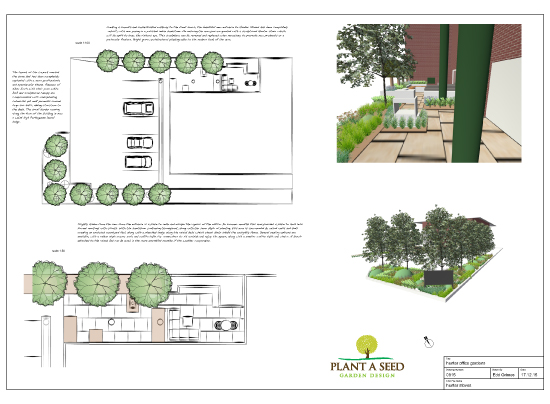 Expert Gardening Tips for Beginners