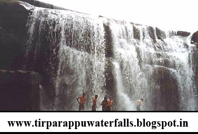 Tirparappu Water Falls: Falls Image