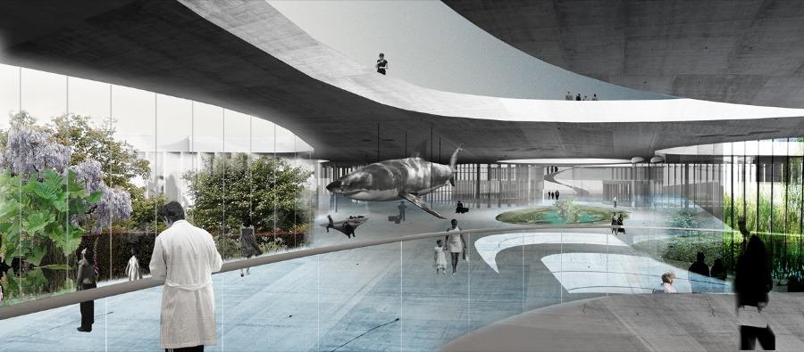 LCLA – a f a s i a