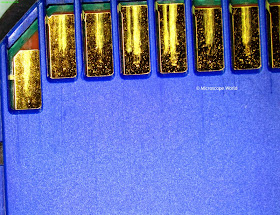 Microscope World Blog: Stereo Microscope Images