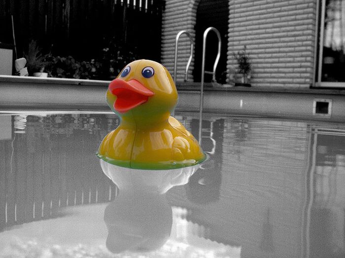 bogang blog: 50 Beautiful Examples of Selective Color Photography