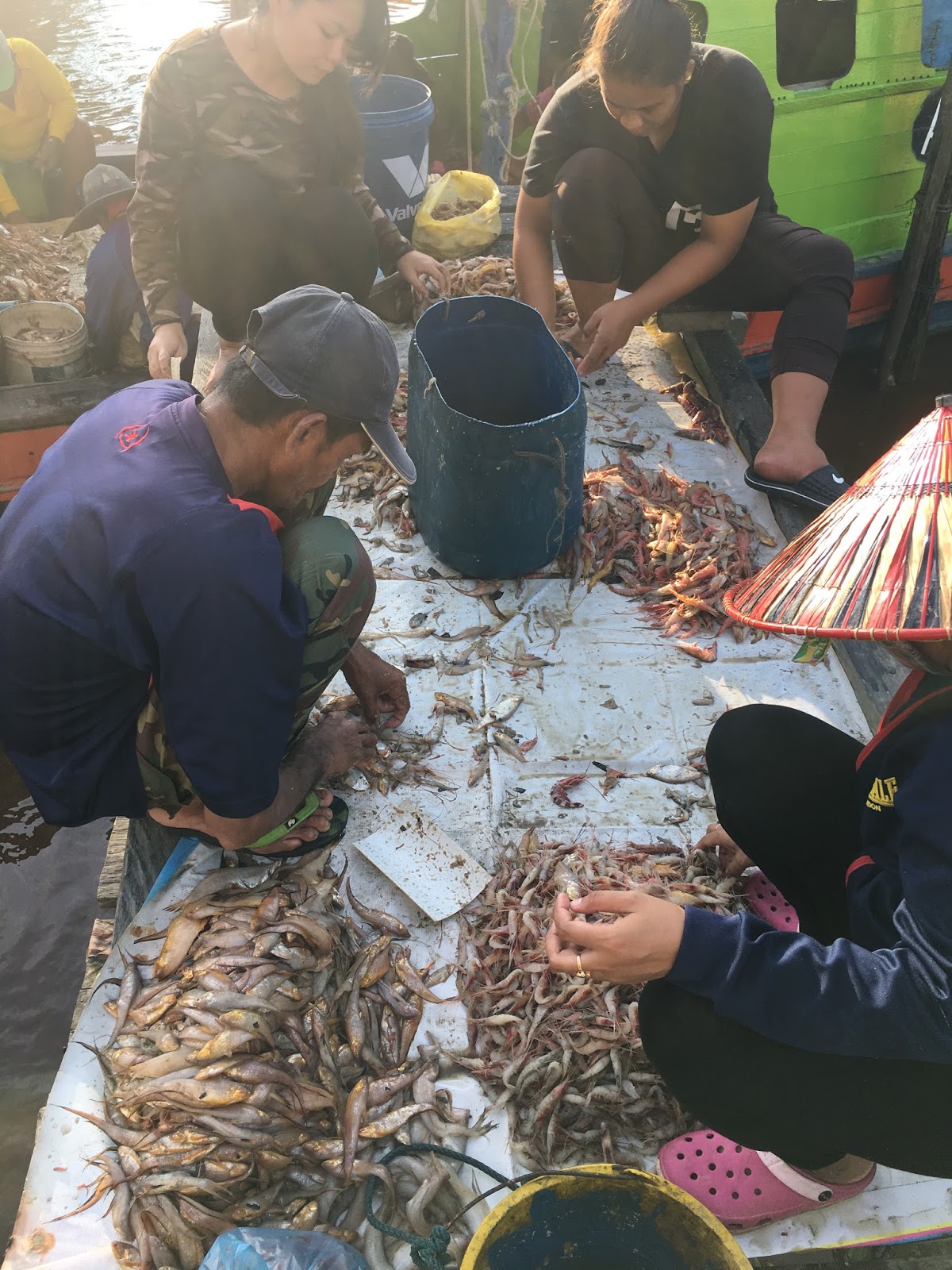 IZZ HUZNIE IDRAQIE: MUSIM PAYAK & UDANG KEMBALI DI MALUDAM SARAWAK