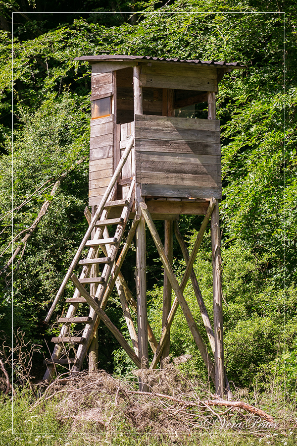 Artifactum ver@bilis Blog: Anna - ein besonderer Hochsitz