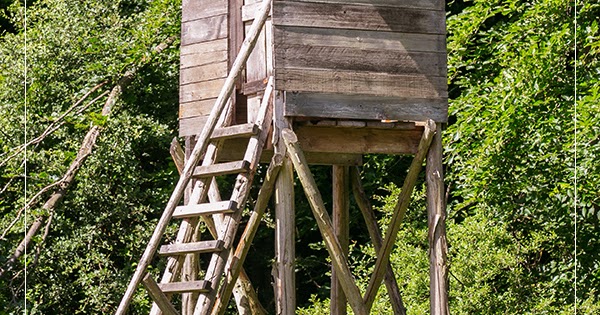 Artifactum ver@bilis Blog: Anna - ein besonderer Hochsitz