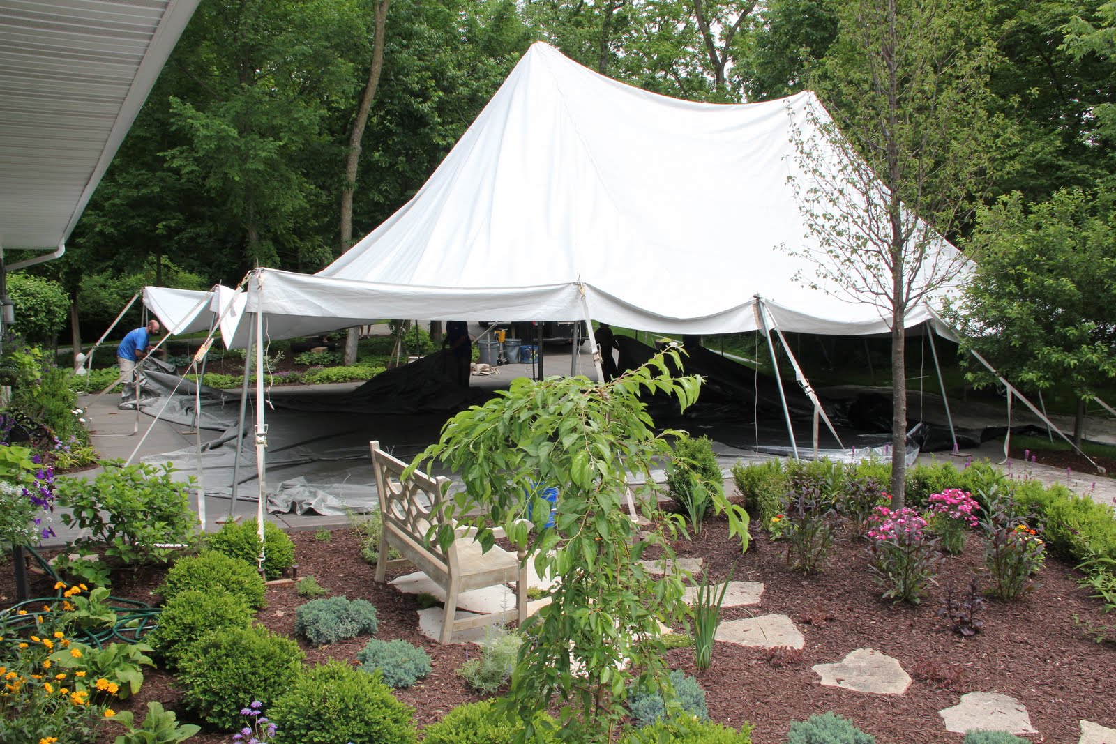 Open Ended: Wedding!!