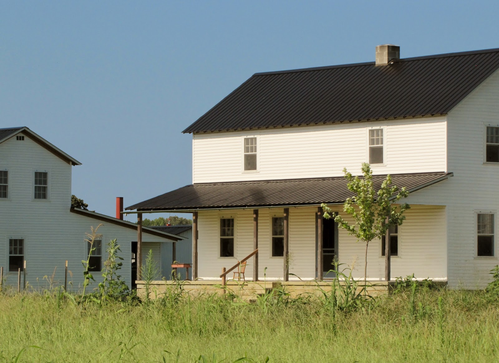 Amish in Stantonville, Tennessee