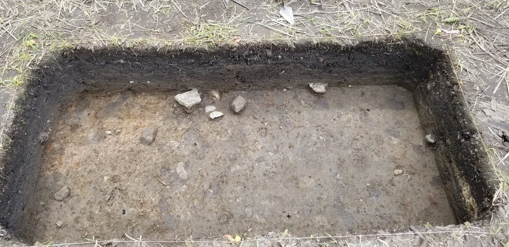 Fort St. Joseph Archaeological Project: What in Flotation do we have ...