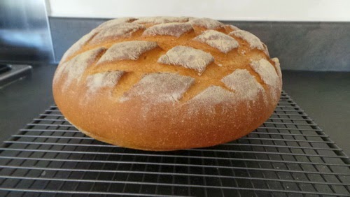 Crusty Cob Loaf - Geoff's Baking Blog