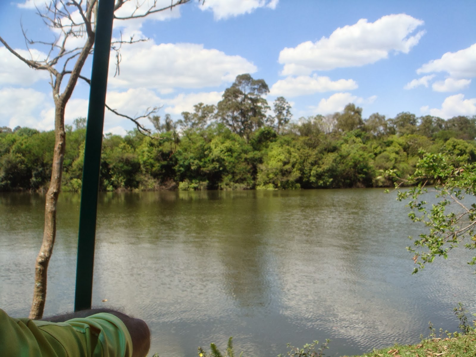 Diane Lorde: Parque Ecológico do Tietê