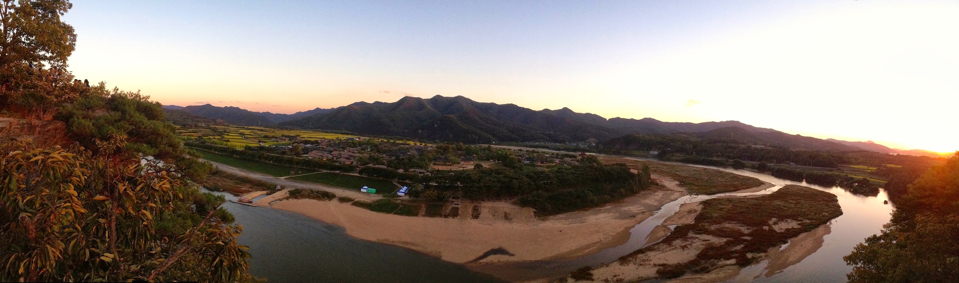 Handol Tearoom: Mogwa(Quince) Ade.