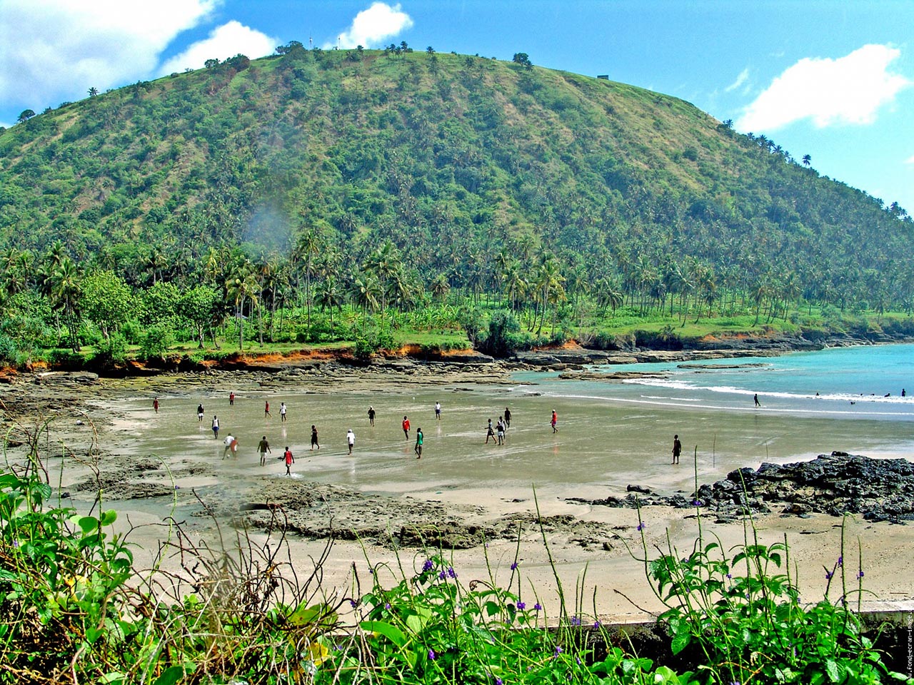 La plateforme Afrique de Demain: Les raisons qui donnent envie de ...