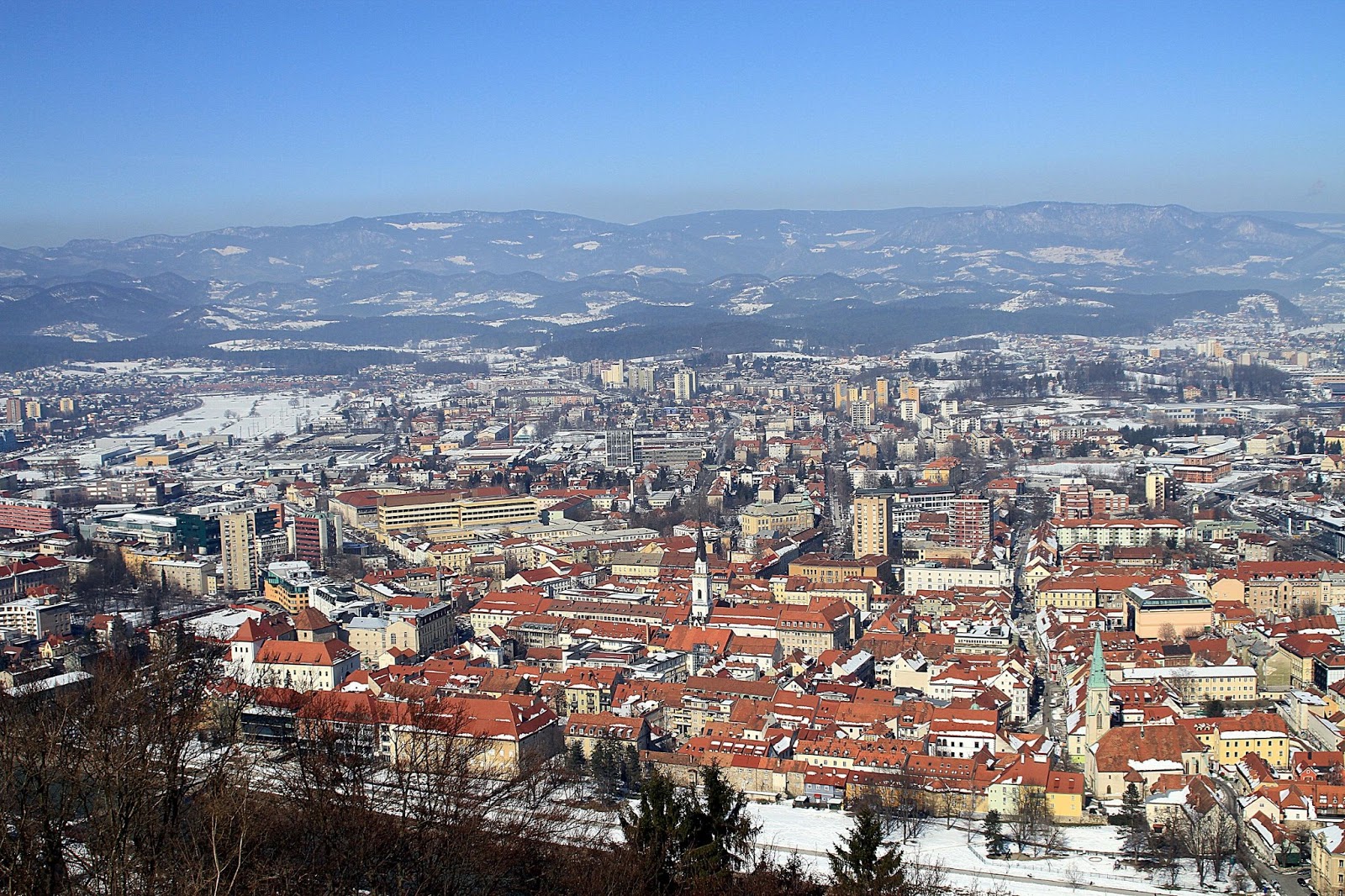Luna chocolate lab sweeter than a chocolate: Miklavški hrib