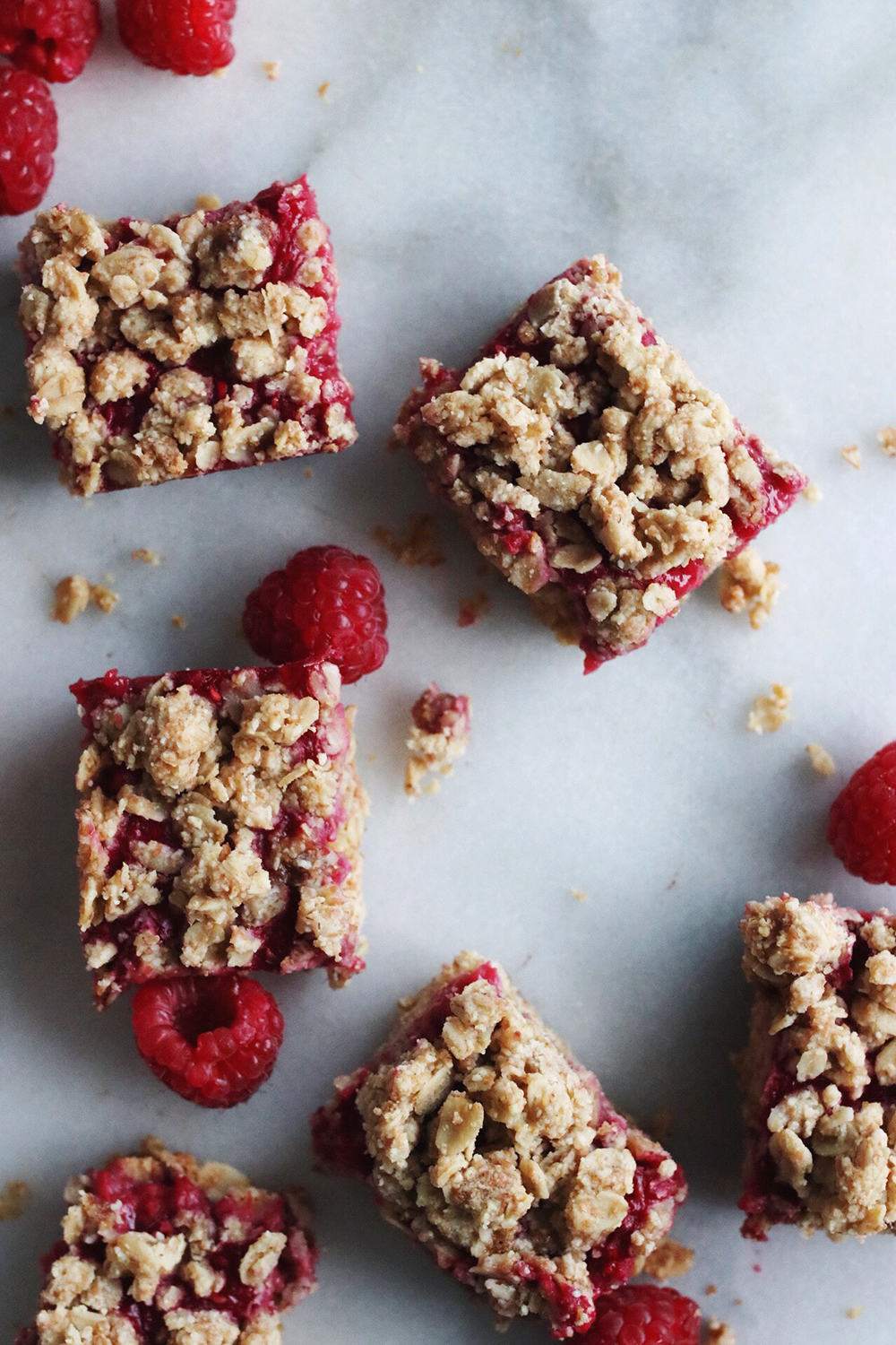 Food File: Protein Raspberry Oatmeal Squares – Gaby Burger