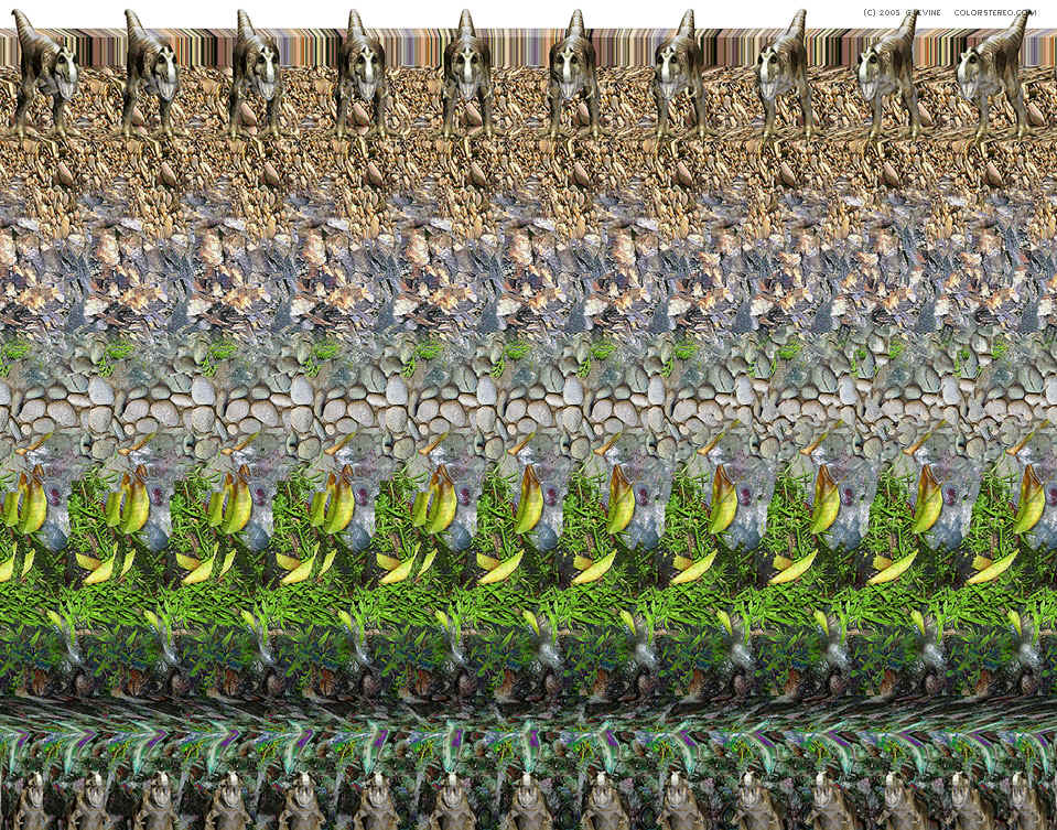 FUN, LEARNING & RELAXATION WITH RANDOM DOT STEROGRAMS (or "Magic Eye ...